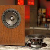 Tang Band 5″ Full Range Bookshelf | Parts Express Project Gallery