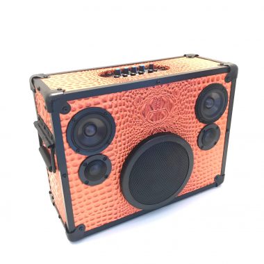 Blast Box with upgrades | Parts Express Project Gallery